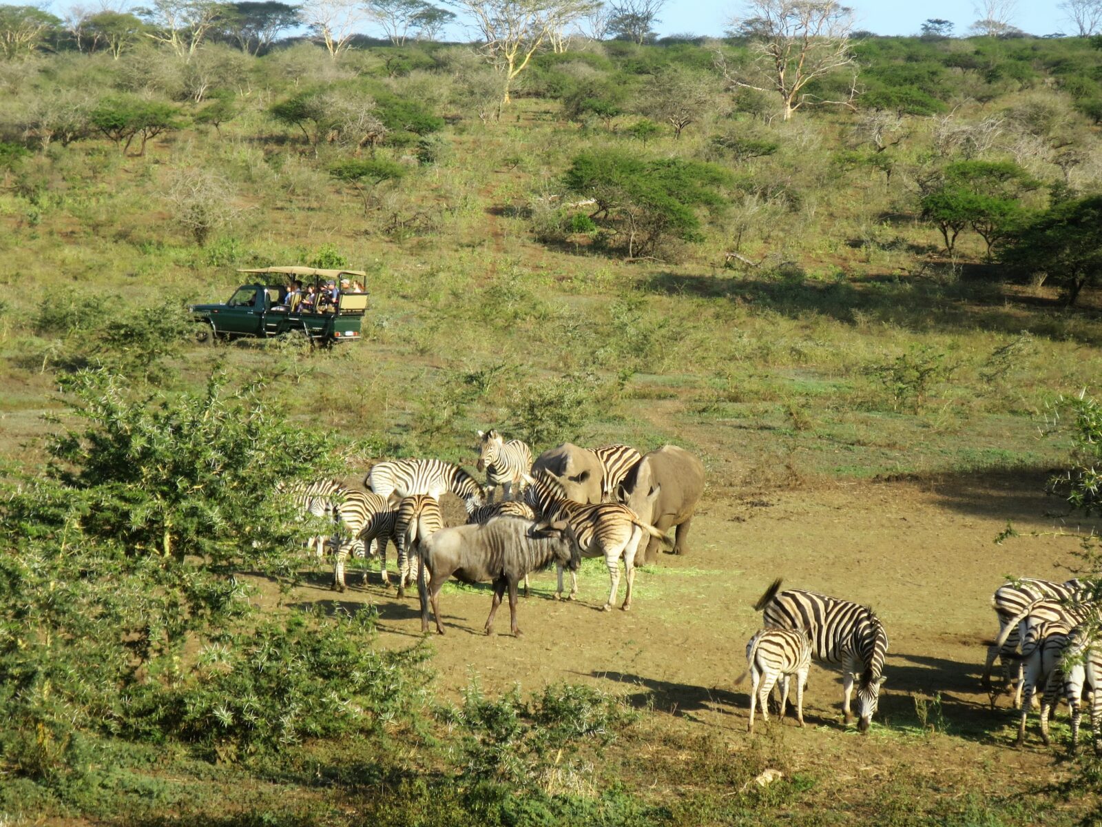 South Africa Safari And Cape Town August 2017 RR GD